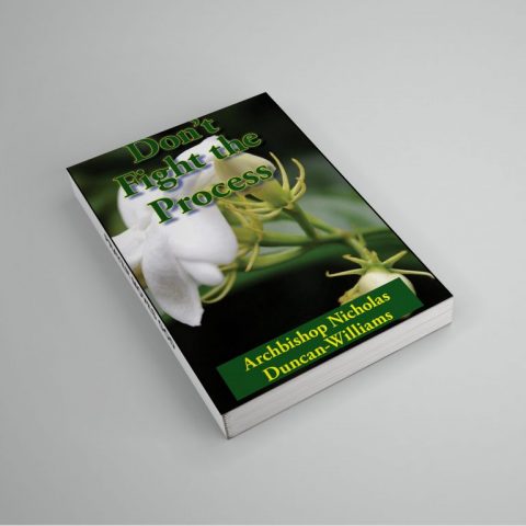 Action Chapel International | where Divinity Meets Humanity